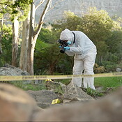 Forensic, photographer and investigation at crime scene for evidence in ...