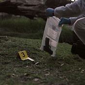 Crime scene, gun and investigator with evidence outdoor for forensics ...