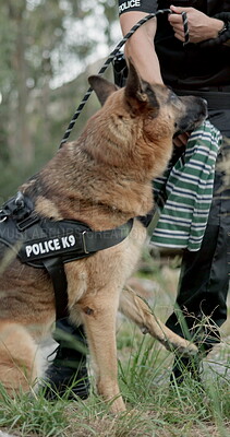 Police officer, dog or patrol for crime scene, investigate and scent ...