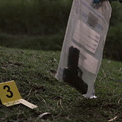 Crime scene, gun and person with evidence for investigation, collection ...