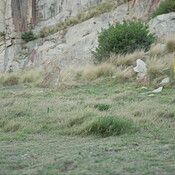 Outdoor, hazardous and sign in nature of forest, safety and alert for ...