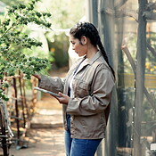 Woman, marijuana and farm inspection or tablet, checking quality and ...
