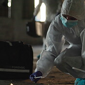 Forensic, gloves and swab in crime scene, floor and sample for medical ...