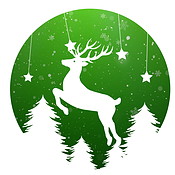 Christmas, ornament and color of tree, holiday and celebration of ...