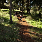 Ebike, cycling and ride with friends in nature for sustainability ...
