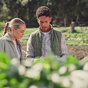Discussion, farm and team with tablet, nature and growth of crops ...