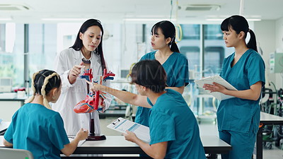 Doctor, medical students and teaching with heart anatomy for ...