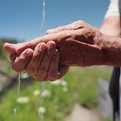Farm, washing and hands of person with water for cleaning, hygiene and ...
